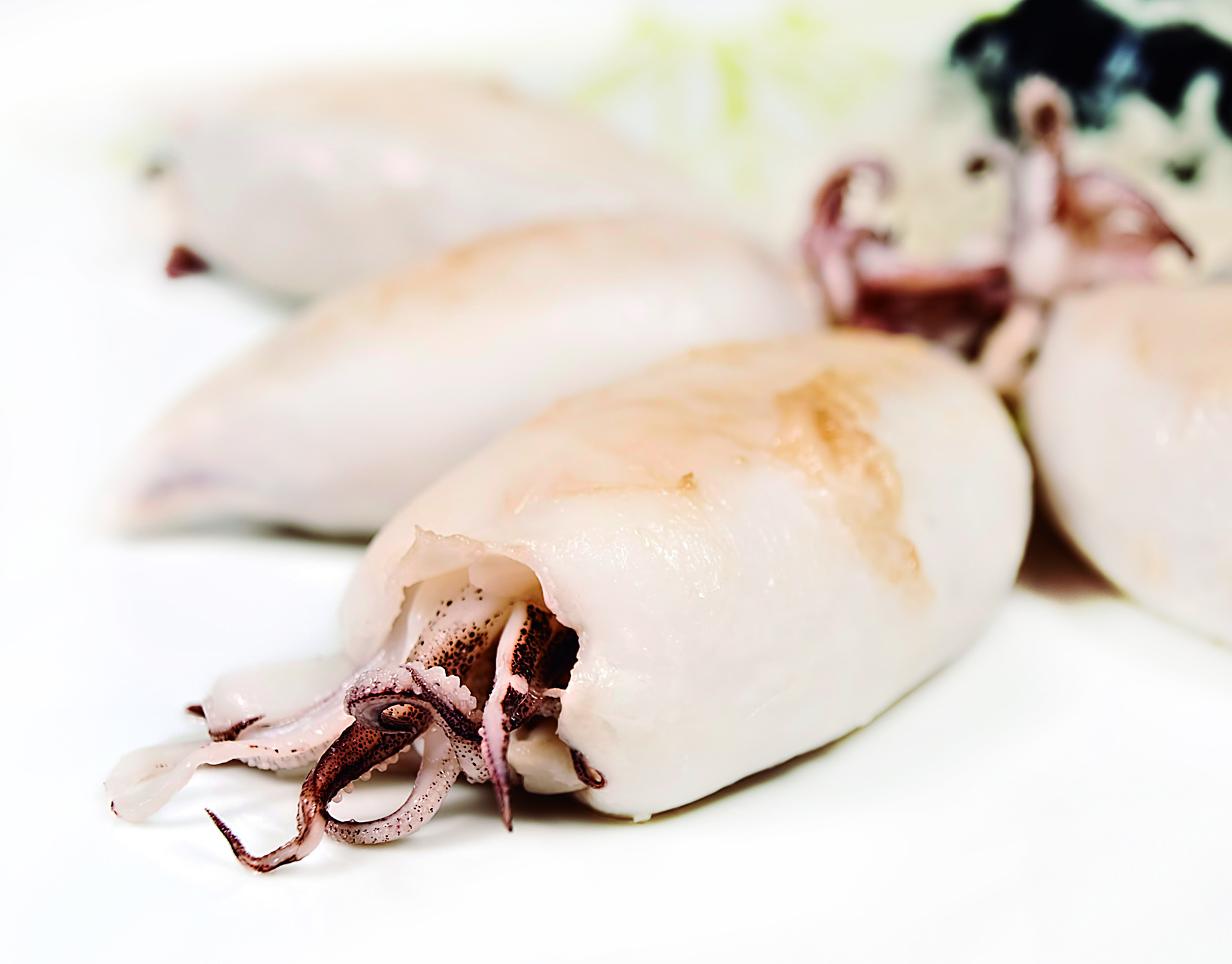 Chipirón relleno natural Ainuk – Cerlesa